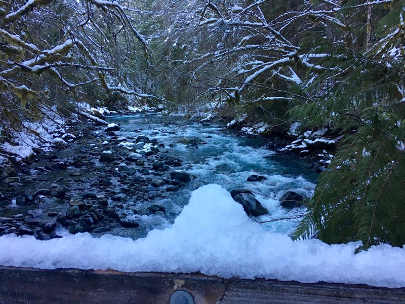 Singletrack Adventure Running in the Dosewallips Valley of Olympic ...